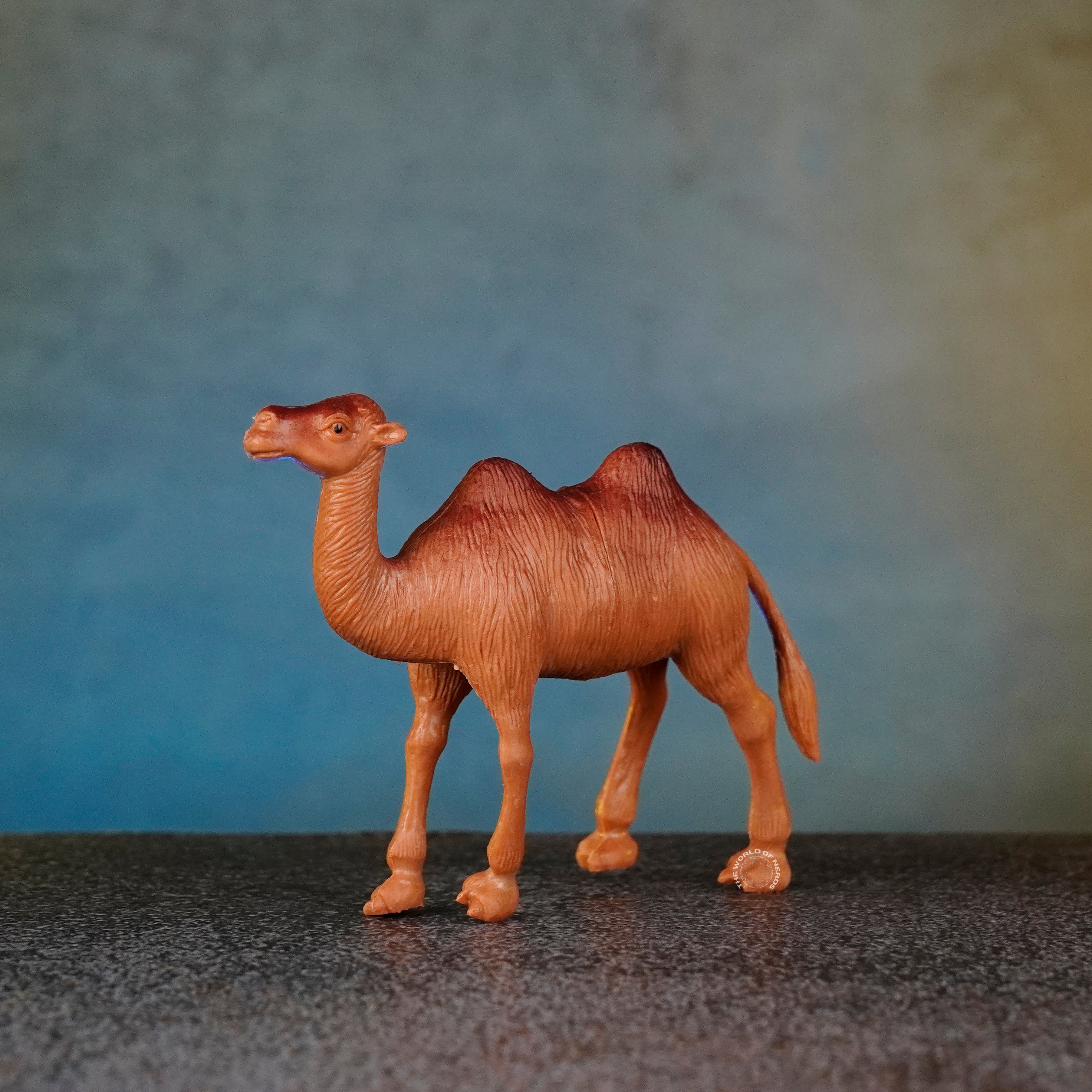 CAMEL – The World Of Nerds