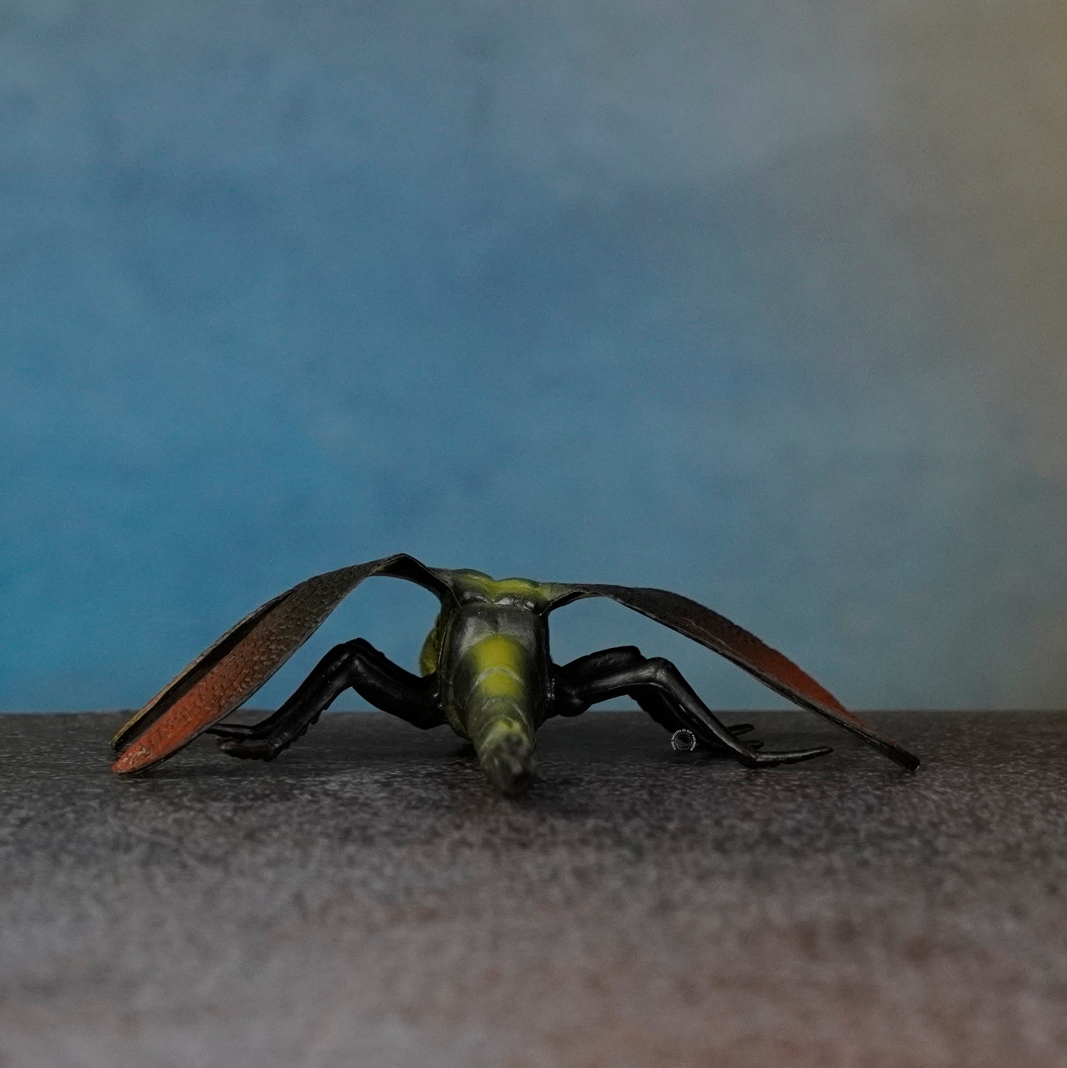 EMPEROR DRAGON FLY – The World Of Nerds