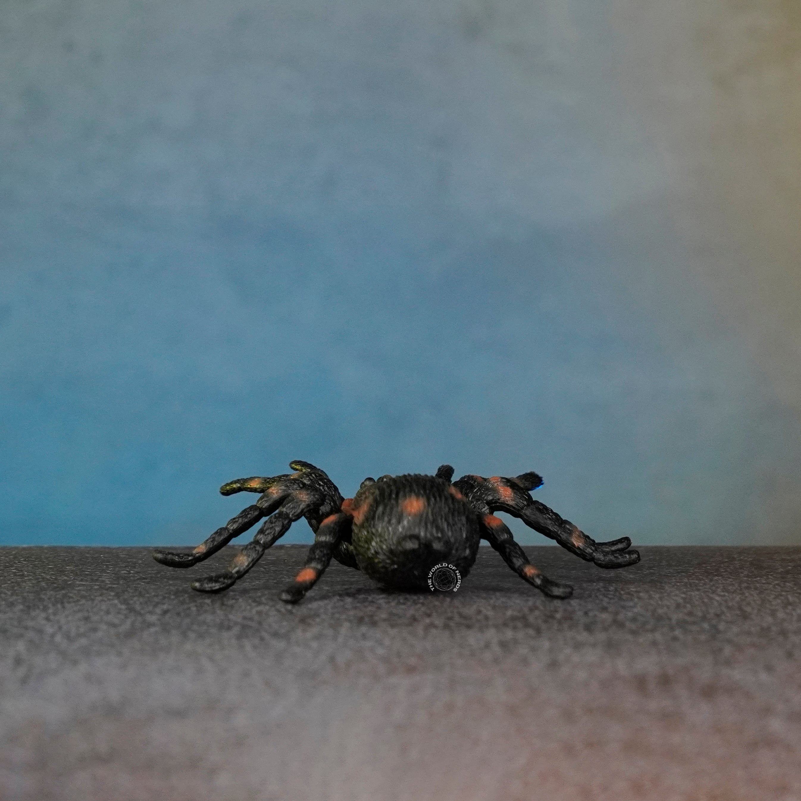 SPIDER – The World Of Nerds